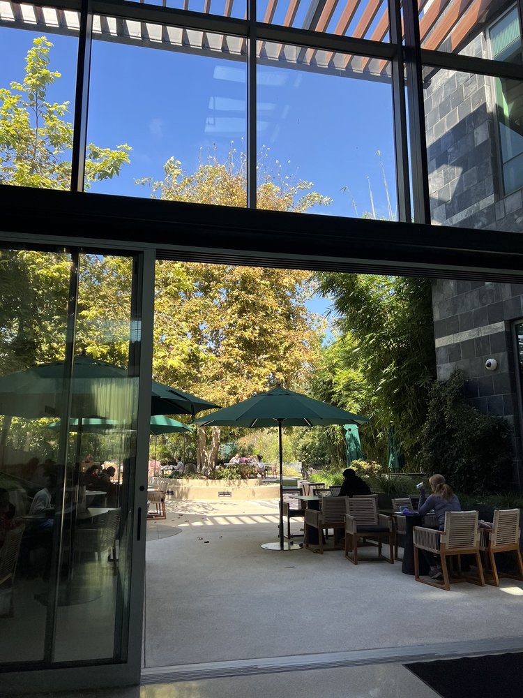 Get a Latte of Work Done with a Change of Scenery - Quokka!